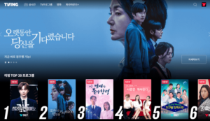 TVING韓国×日本の視聴方法！リアルタイムに無料で見る方法とは？ | シバイヌVPN